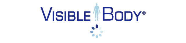 Visible Body Courseware